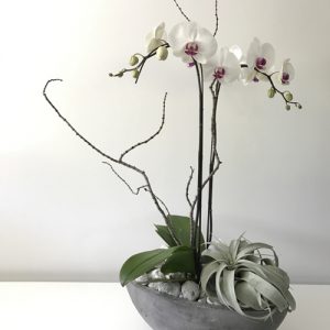 July Floral Design – Let’s Celebrate